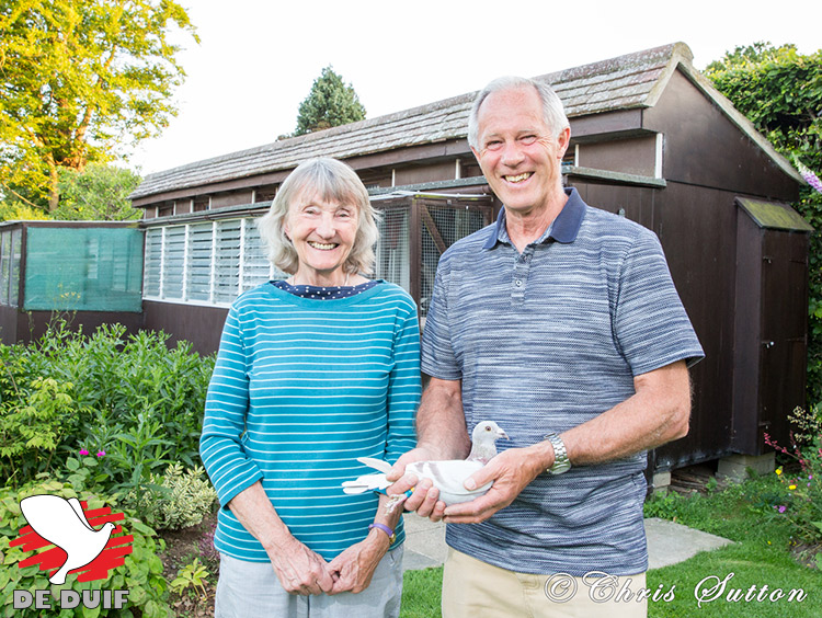 DAVID BRIDGER - 1st National Flying Club Messac | De Duif