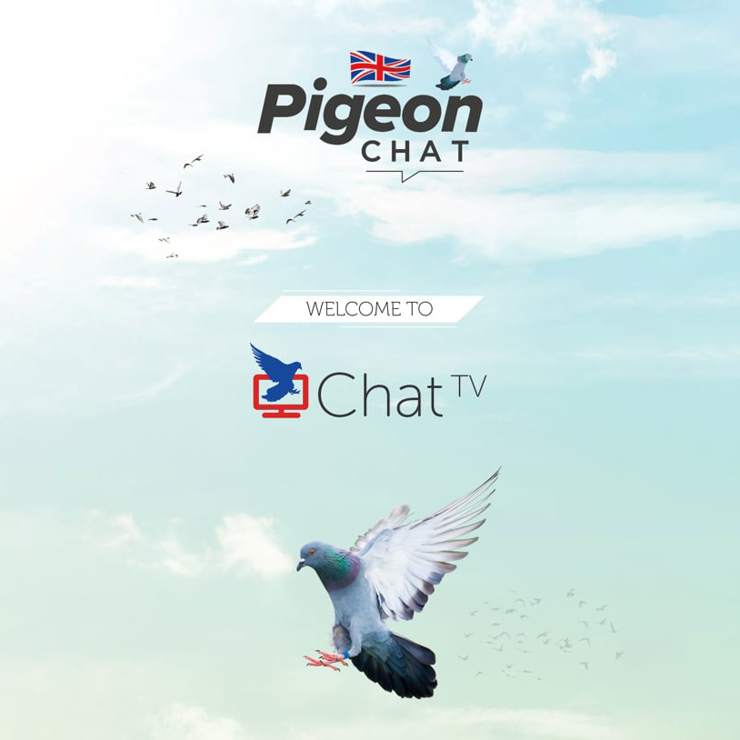 Pigeon Chat is pleased to announce the launch of "Chat TV" | De Duif