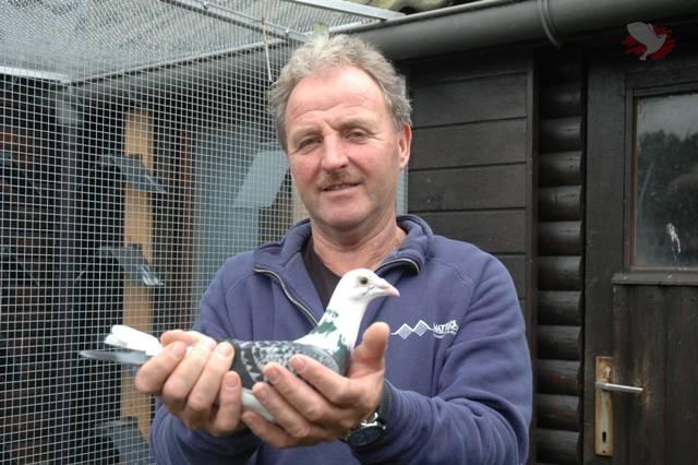 VAN DIJCK-VAN DIJCK - 1e Nat. Limoges 17.731 jaarse | De Duif