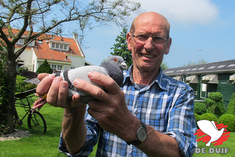 Dhr. Koen Minderhoud overleden | De Duif