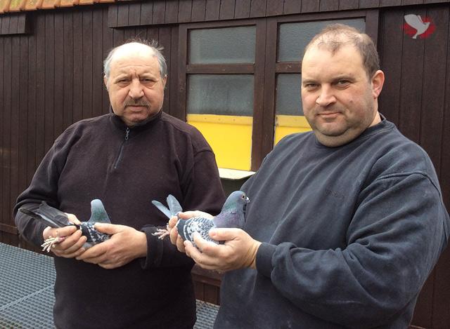 MARC POLLIN - 1e Nationaal Kampioen Grote fond | De Duif