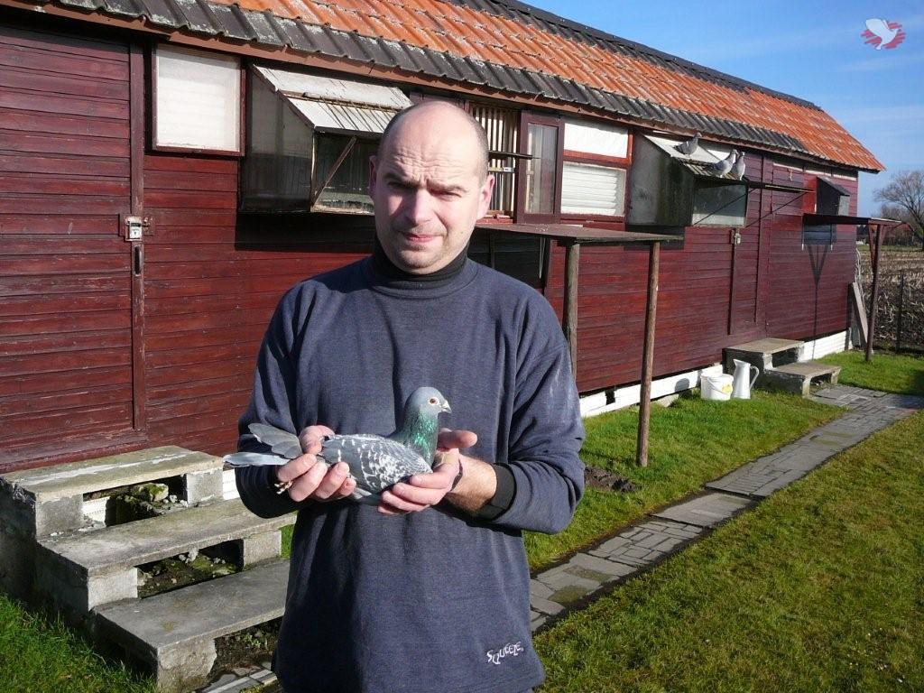 WIM STORMS - 1e NAT. MONTLUCON 17.432 oude | De Duif