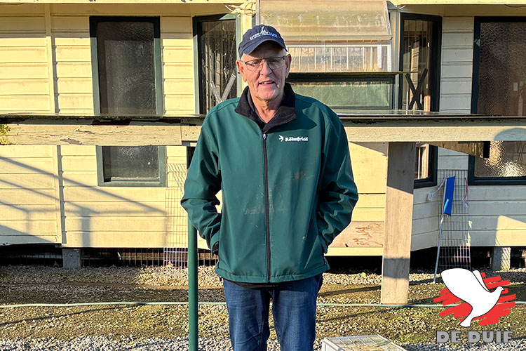 VAN ELSACKER-JEPSEN - 1e Nationaal Kampioen jaarse 2024 | De Duif