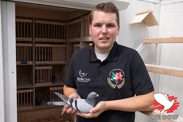 SIL VAN VLIET - 1e Nat. Barcelona ZLU 5320 d. | De Duif