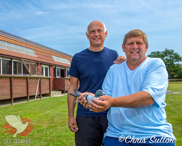 WEARN BROS & NEILSON - 1st Tarbes NFC | De Duif